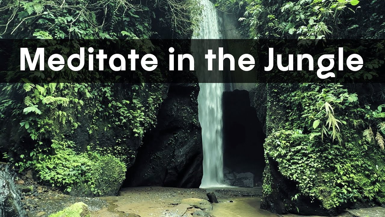 Meditate in the Jungle: Relaxing Piano with Nature Sounds of Waterfalls ...