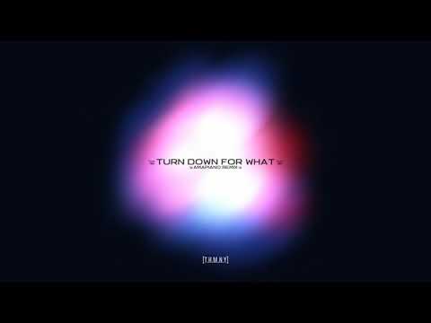 DJ Snake - Turn down for what ft lil John | Amapiano remix