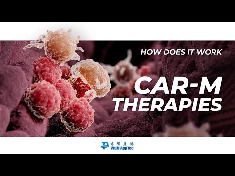 How Does It Work? | CAR-M Therapy - YouTube