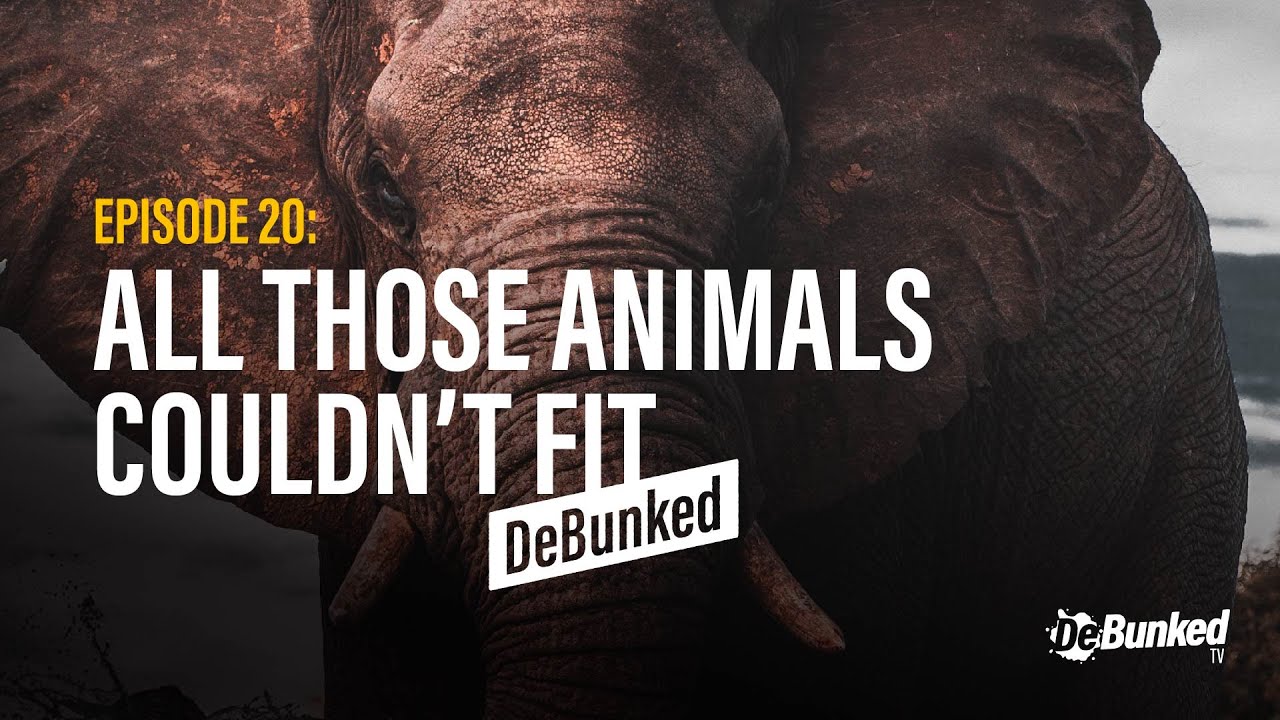 DebunkedTV | Episode 20 | All Those Creatures Couldn't Fit on The Ark ...