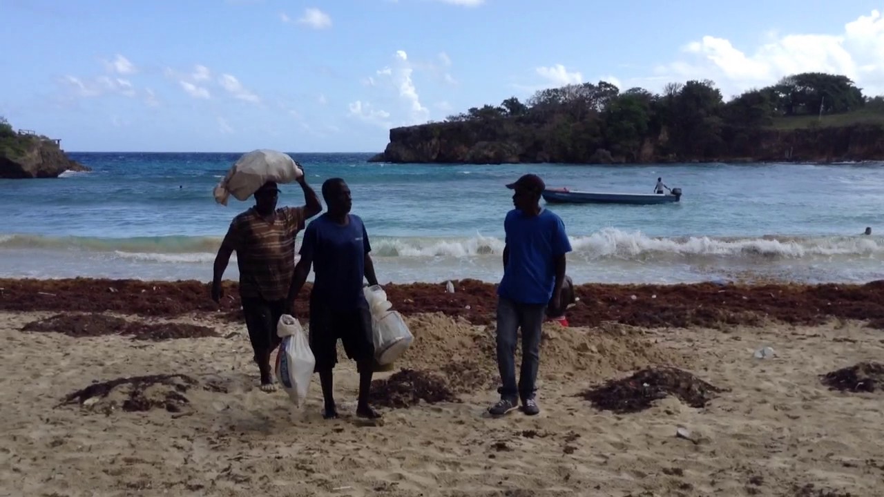 Boston Bay Beach Portland Jamaica January 16, 2017 - YouTube