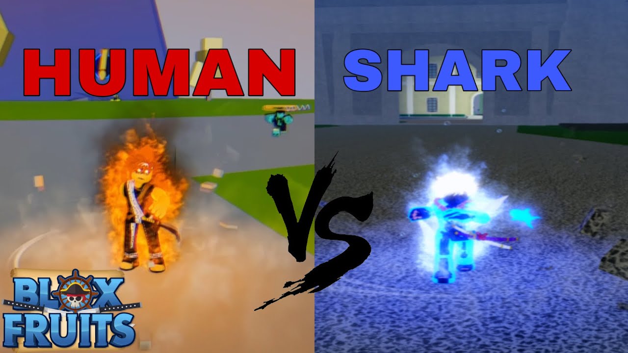 Human V4 vs Shark V4 BloxFruits - YouTube