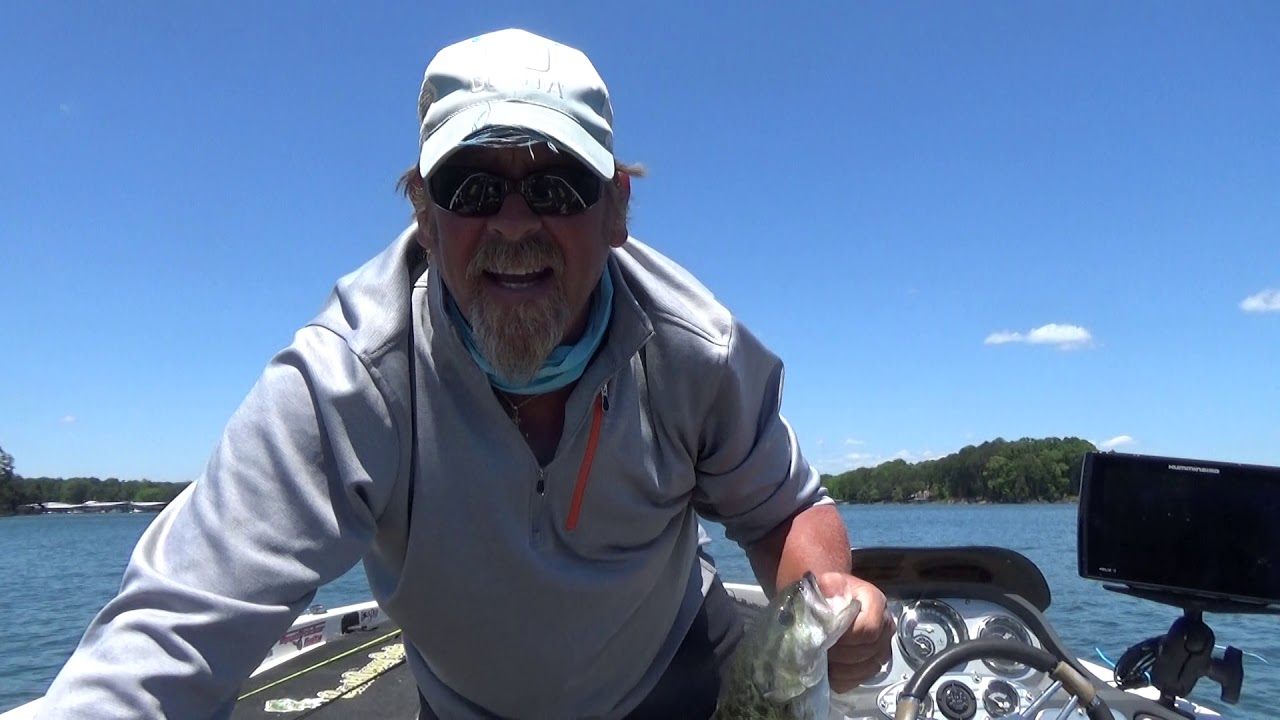 Two for Tuesday Challenge - YouTube