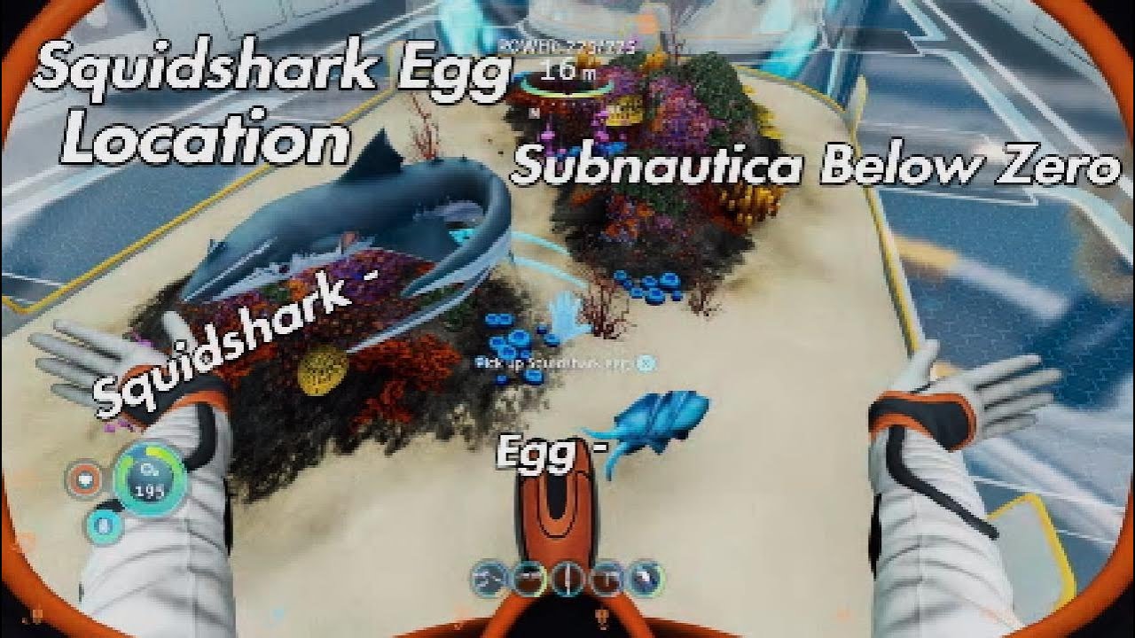 Subnautica Below Zero - Squidshark Egg Location - YouTube