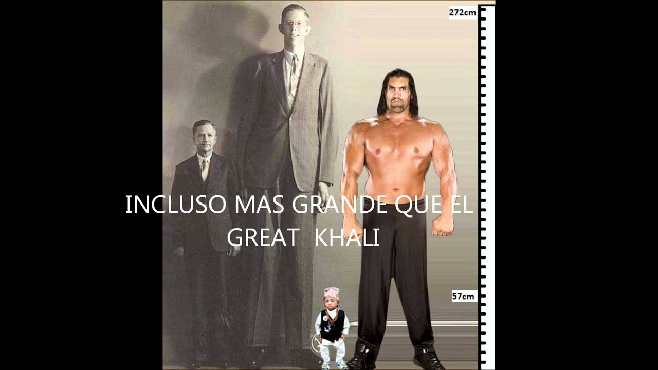 El Hombre Más Alto Del Mundo 2024 Altura