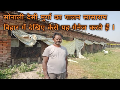 sonali murga palan kudra ( Bihar) me dekhiye kaise ho Raha hai - YouTube