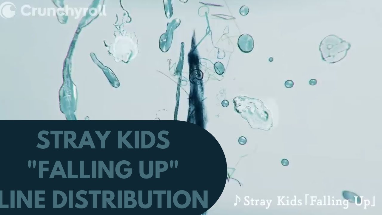 STRAY KIDS "FALLING UP" | LINE DISTRIBUTION - YouTube Music
