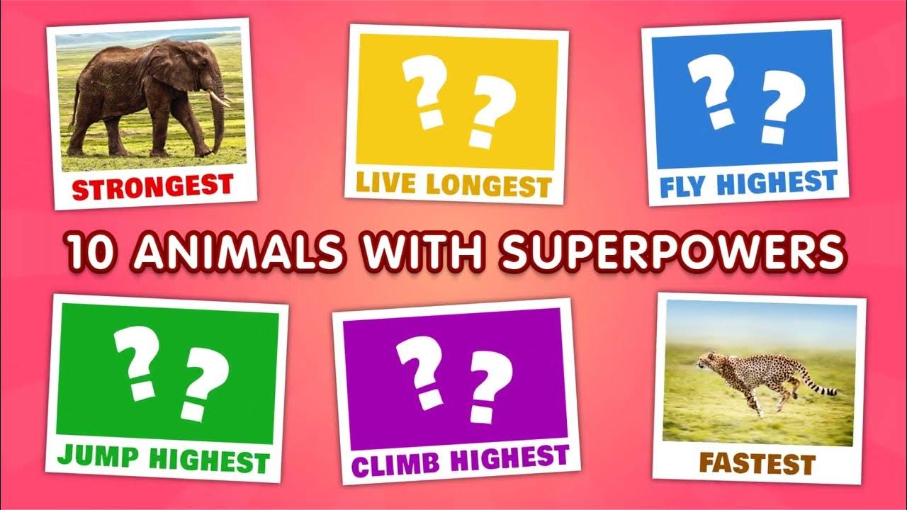 10 Special Animals with Superpowers - YouTube