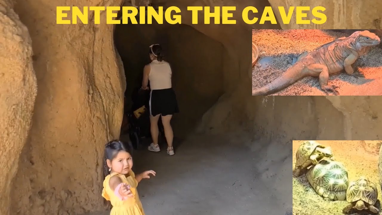ENTERING INTO THIS BEAUTIFUL CAVE | LOVELEEN VATS & COURTNEY VATS ...