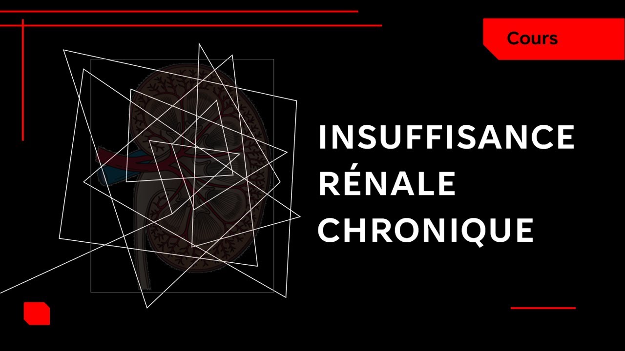 Reins non fonctionnels = Dialyse 🕸 ?! - Cours IRC - Uro_Nephrologie ...