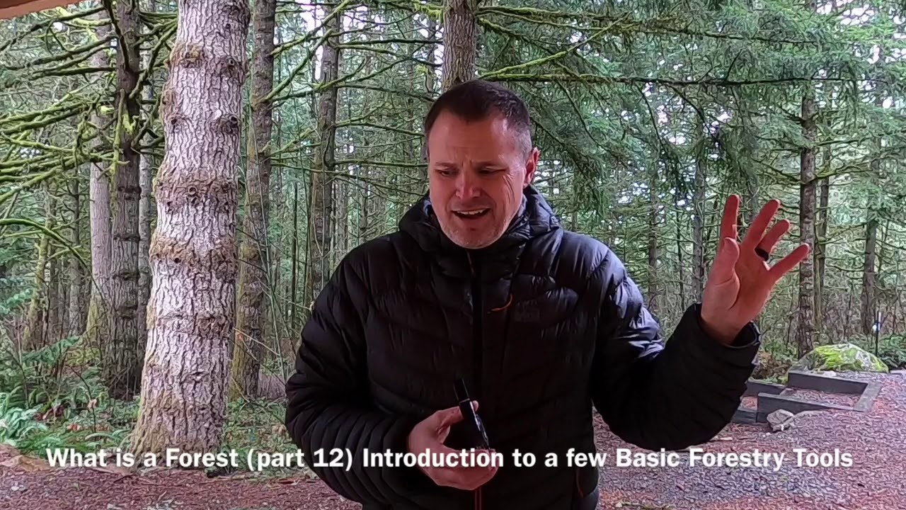 Introduction to a few Basic Forestry Measurement Tools - What is a ...