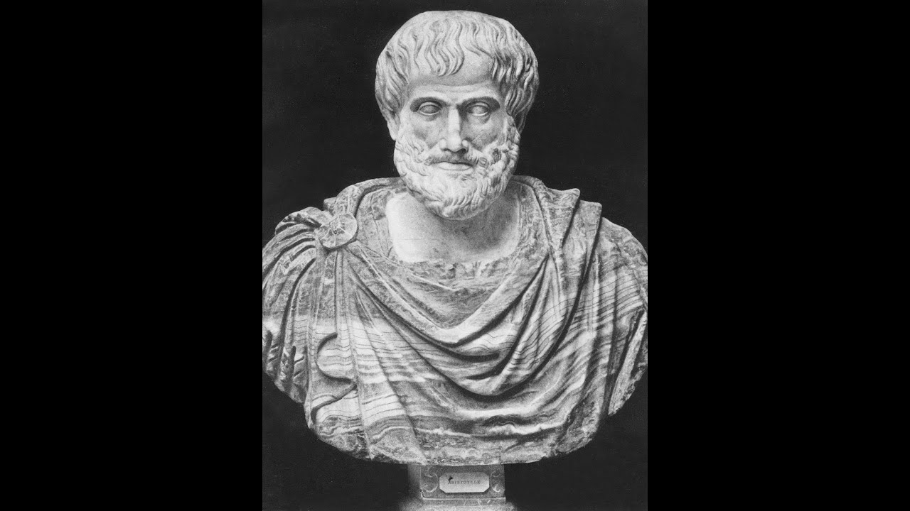 What did Aristotle do? - YouTube