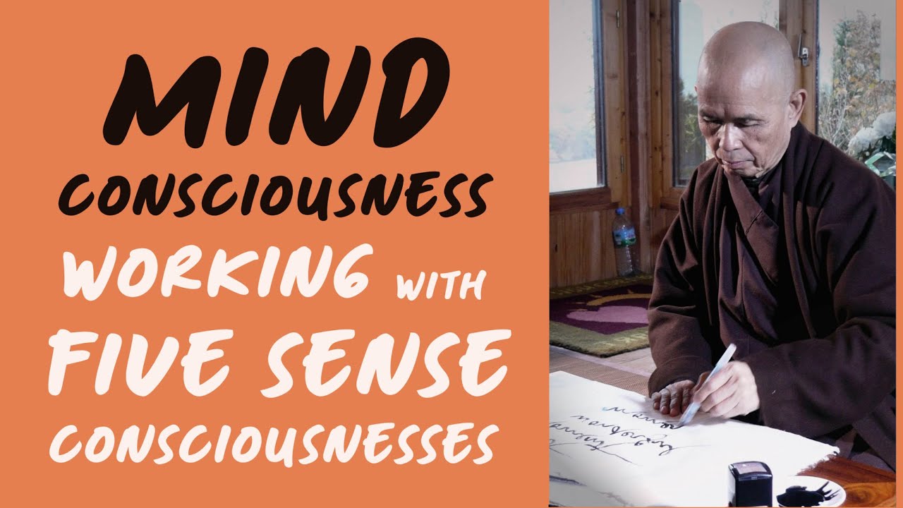 Observing Objects of Mind: Mind Consciousness working with 5 Sense ...