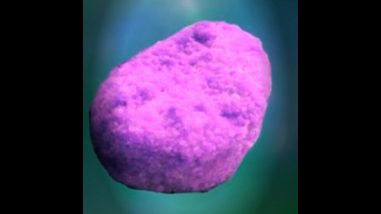 purple nugget Live Stream - YouTube