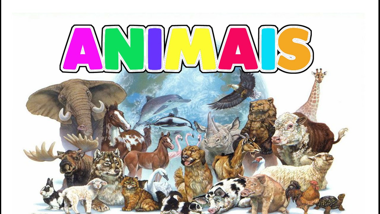 🐇🐆ANIMAIS 🐖🐖🐄🐍🐎 - YouTube