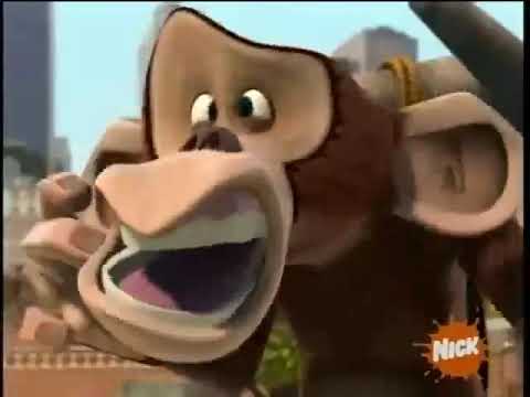 The Conga King part 1