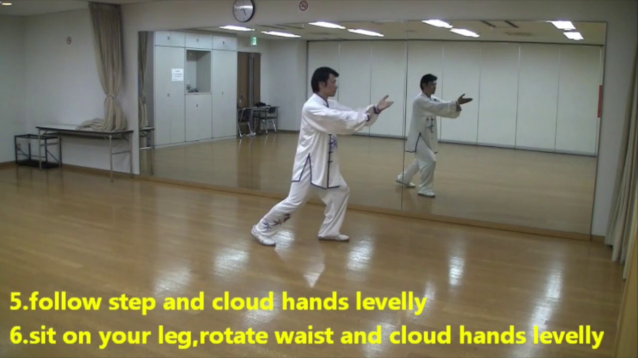 48-forms Tai Chi Chuan Section 5 English subtitles Back view (Right ...