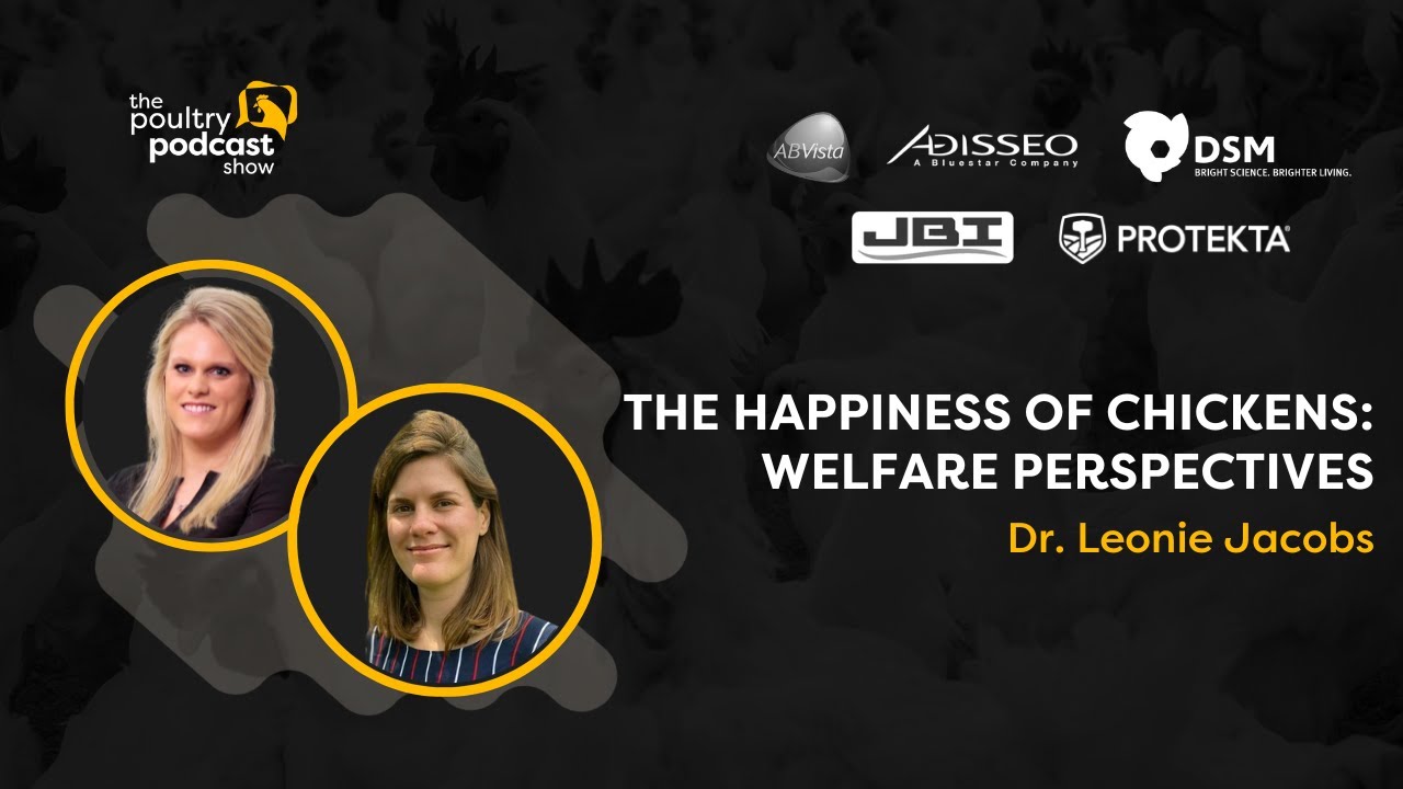 Dr. Leonie Jacobs: Chicken Welfare Perspectives | Ep. 07 - YouTube