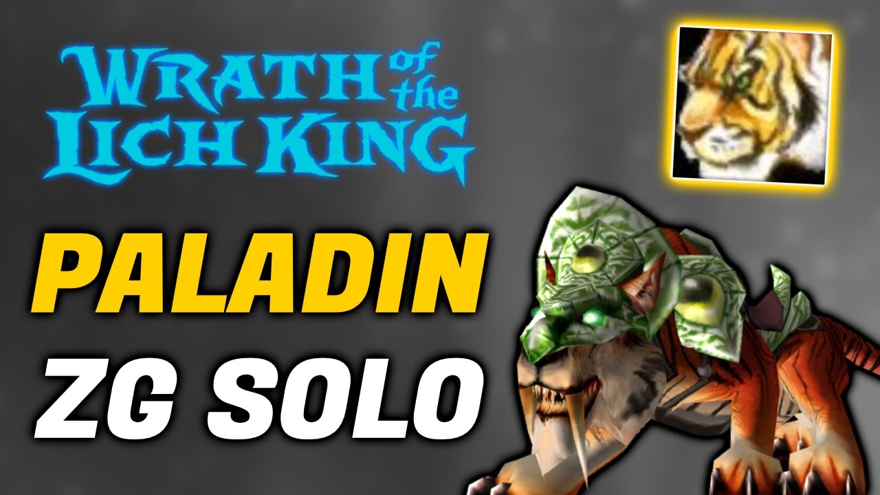 WOTLK Paladin ZG Zulian Tiger Solo - YouTube