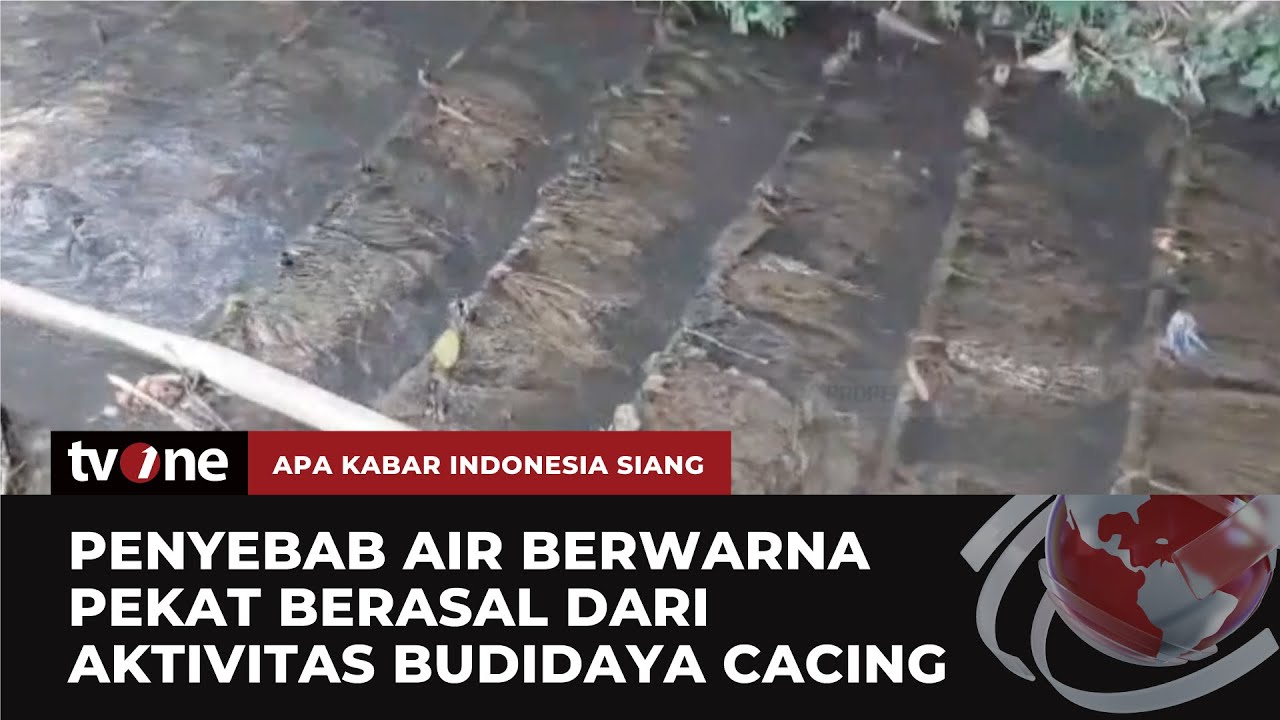 Video Amatir Air Sungai Cedok Berwarna Hitam Pekat | AKIS tvOne - YouTube