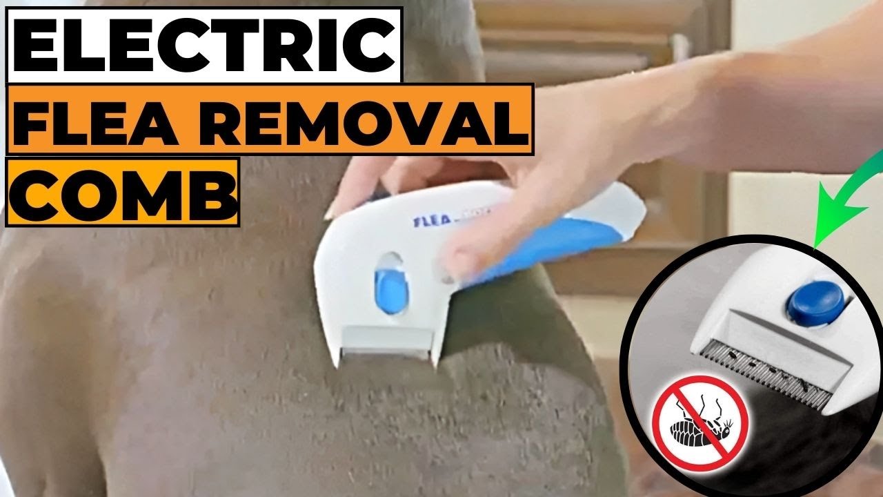 Electric Flea Removal Comb for Dogs & Cats 2023 | Anti - Flea Pet Comb ...