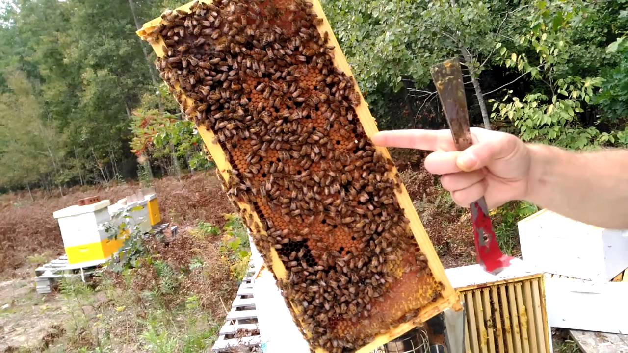 Pre-Winter Inspections - YouTube