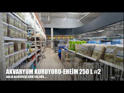 ALMANYA'DA AKVARYUM KURULUMU VE PETSHOP GEZİSİ YAPIYORUZ! #3 (250 LİTRE YENİ TANK VE YENİ BALIKLAR)