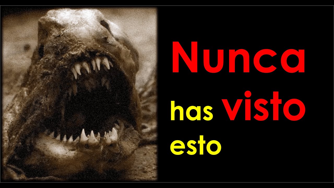 Top 10 ANIMALES mas ATERRADORES del mundo - YouTube