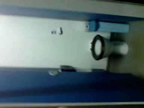 amy leigh jumping into a toilet.