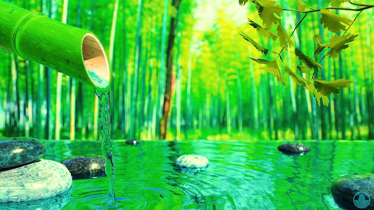 12 Hours Soothing Water Sounds and Relaxing Music for Deep Meditation ...