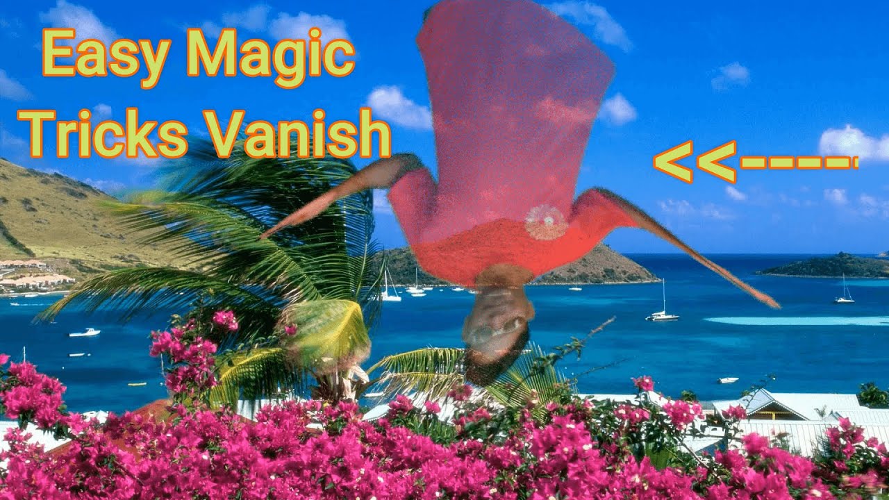 How to make yourself vanish! Easy magic trick - YouTube