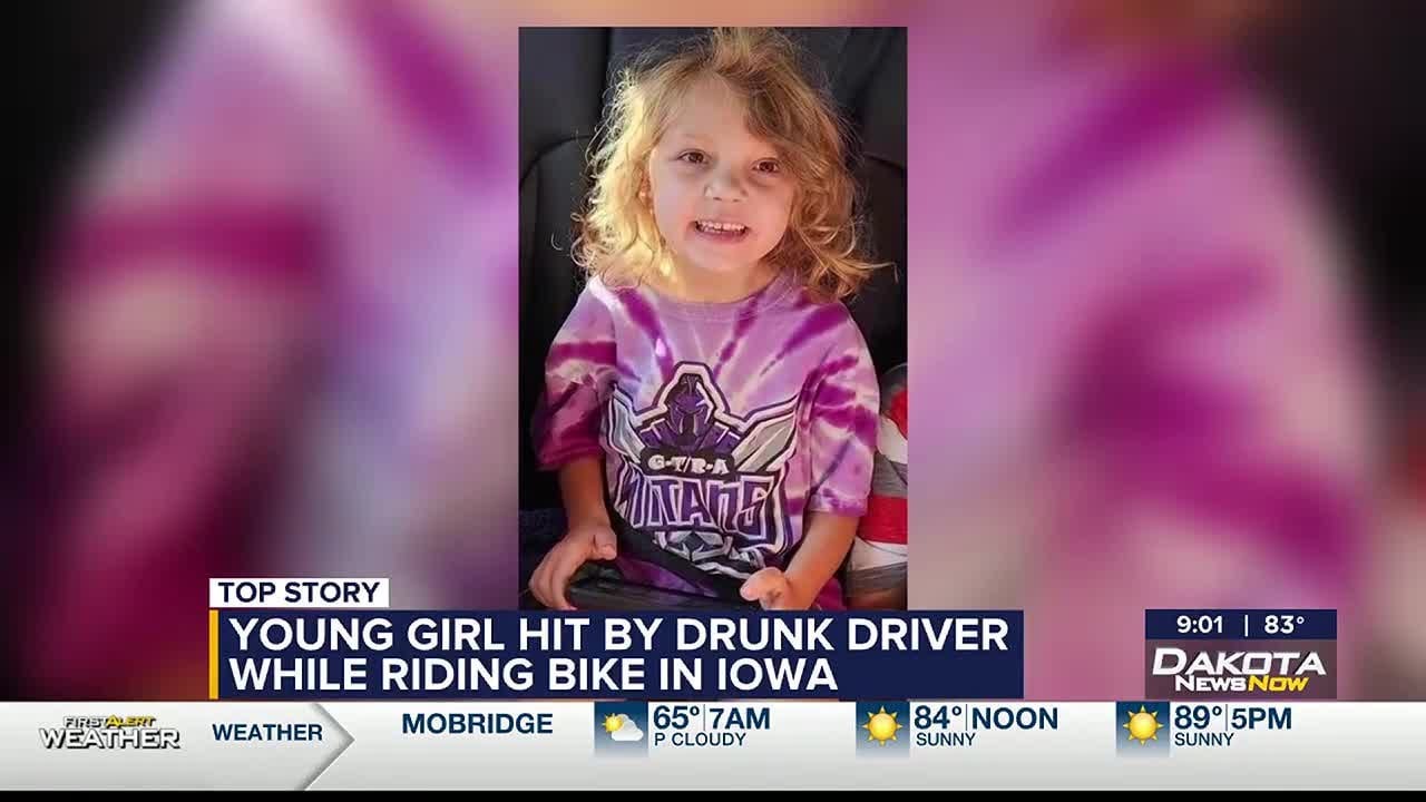 Family of young girl hit by drunk driver speaks out - YouTube
