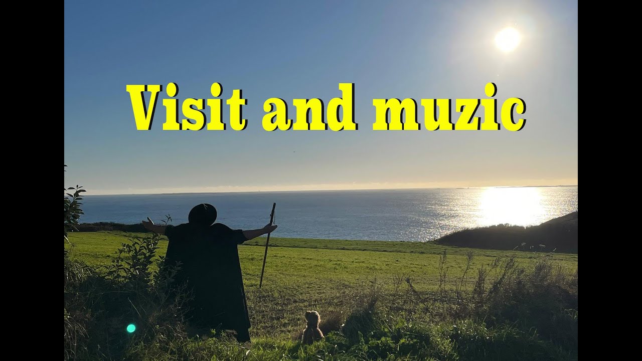 TURTLE PAMPLEMOUSSE 176- Visit and music- - YouTube