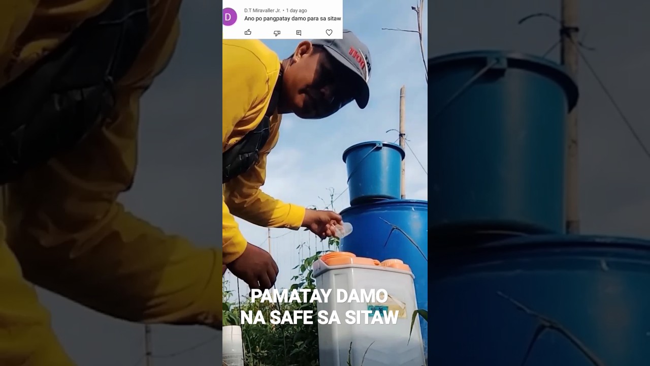 PAMATAY DAMO SAFE SA SITAW AT SA IBA PANG TANIM NA GULAY #elmartv # ...