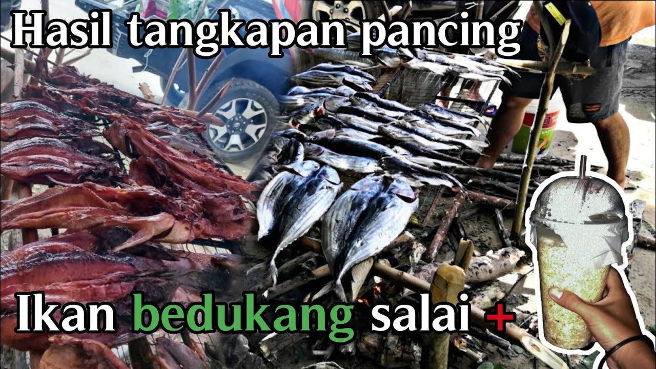 5 jam salai ikan bedukang¦¦hasilnya sangat memuaskan - YouTube
