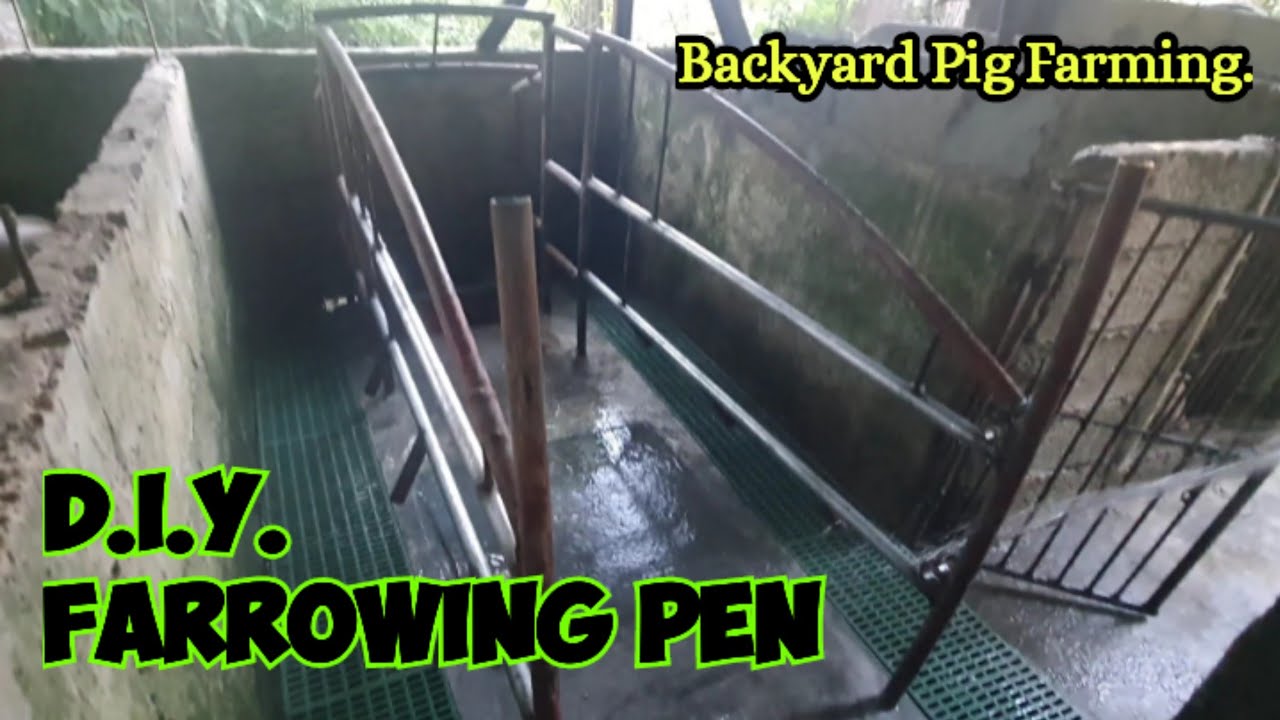 DIY Farrowing Pen Gamit ang Recycled Materials. - YouTube