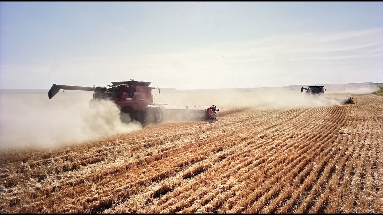 Harvest Pushes On - YouTube