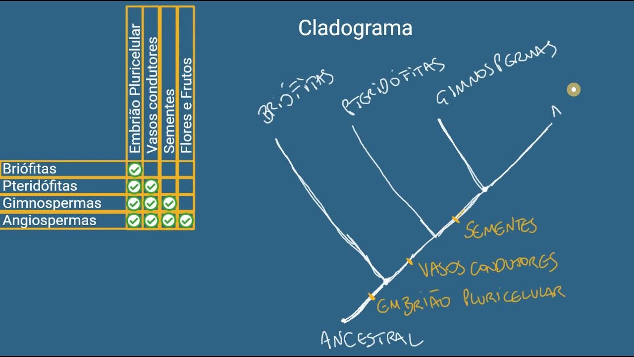 Como elaborar um Cladograma - YouTube