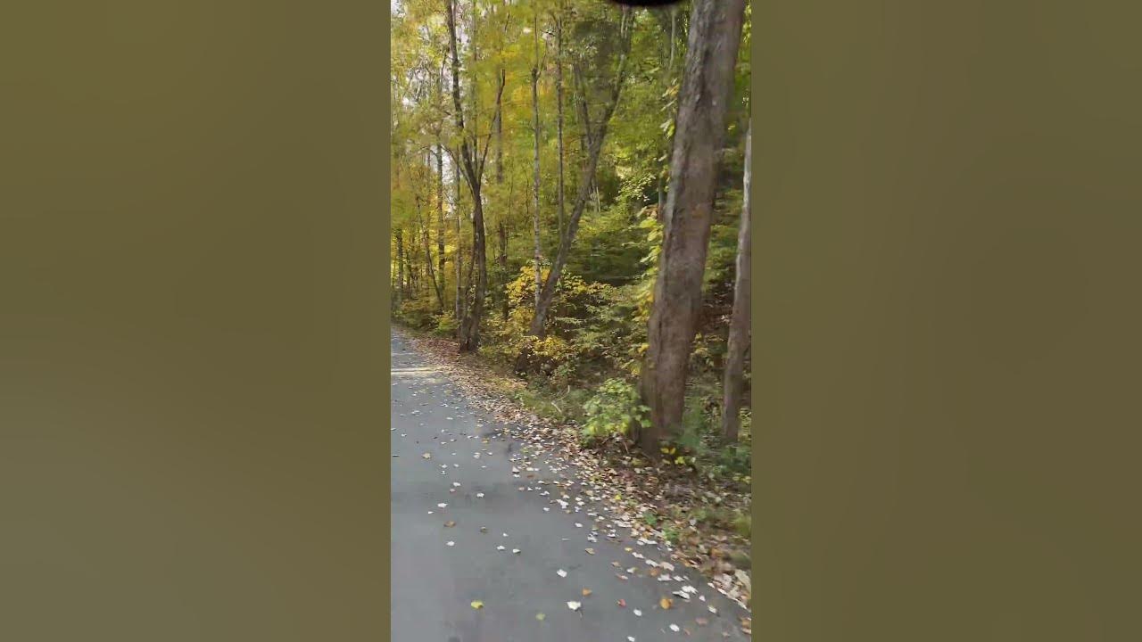 Let’s go for a buggy ride through the mountains on this fall day ... Let’s go for a buggy ride through the mountains on this fall day ...
