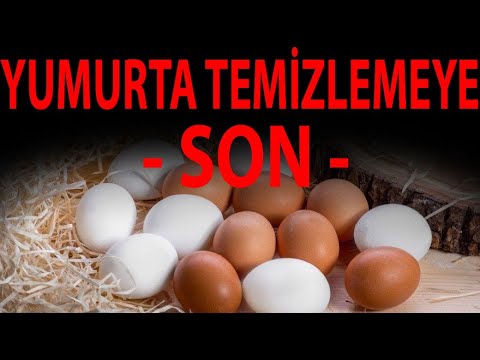 Tavuk Kümeslerinde Kirli , Pis Yumurta Kalmayacak