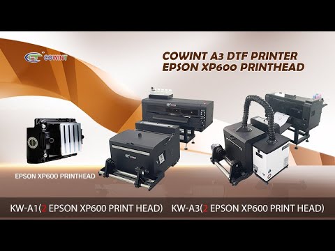 Cowint DTF Printer workshop - YouTube