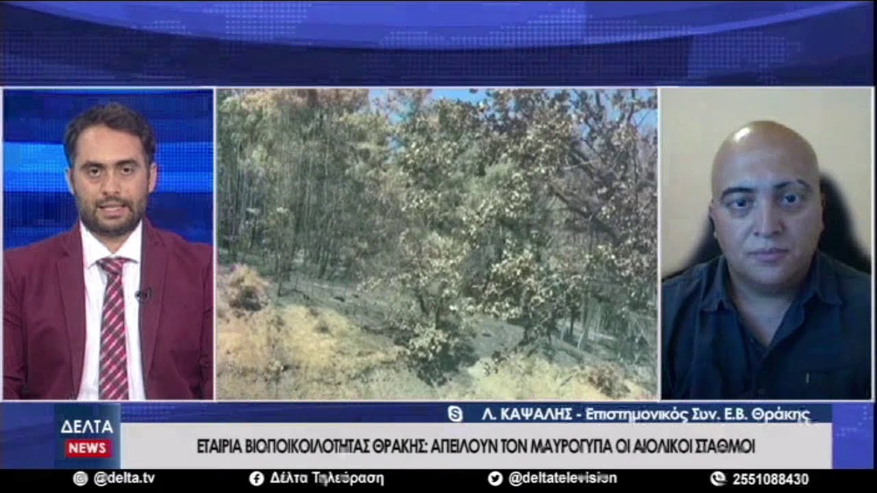 Εταιρία Βιοποικιλότητας Θράκης: Απειλούν τον Μαυρόγυπα οι Αιολικοί ...