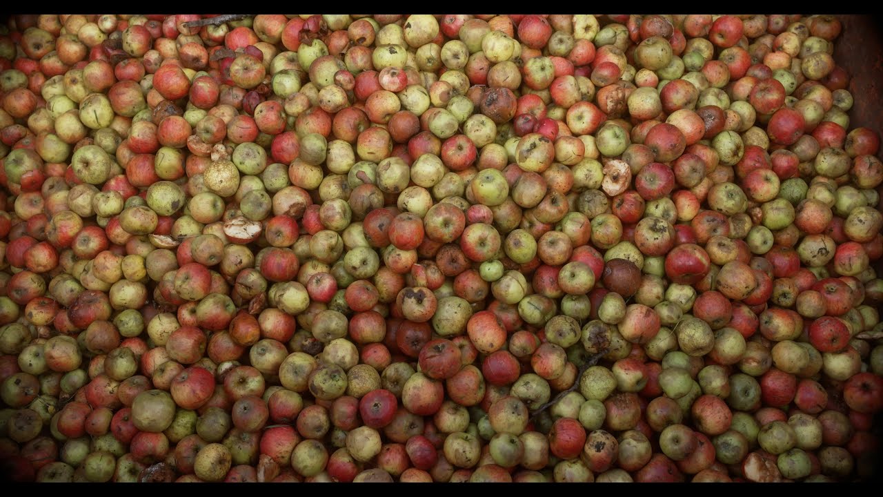 Around The Table - E1 (Normandy) with Vincent Samarco, directed by ...