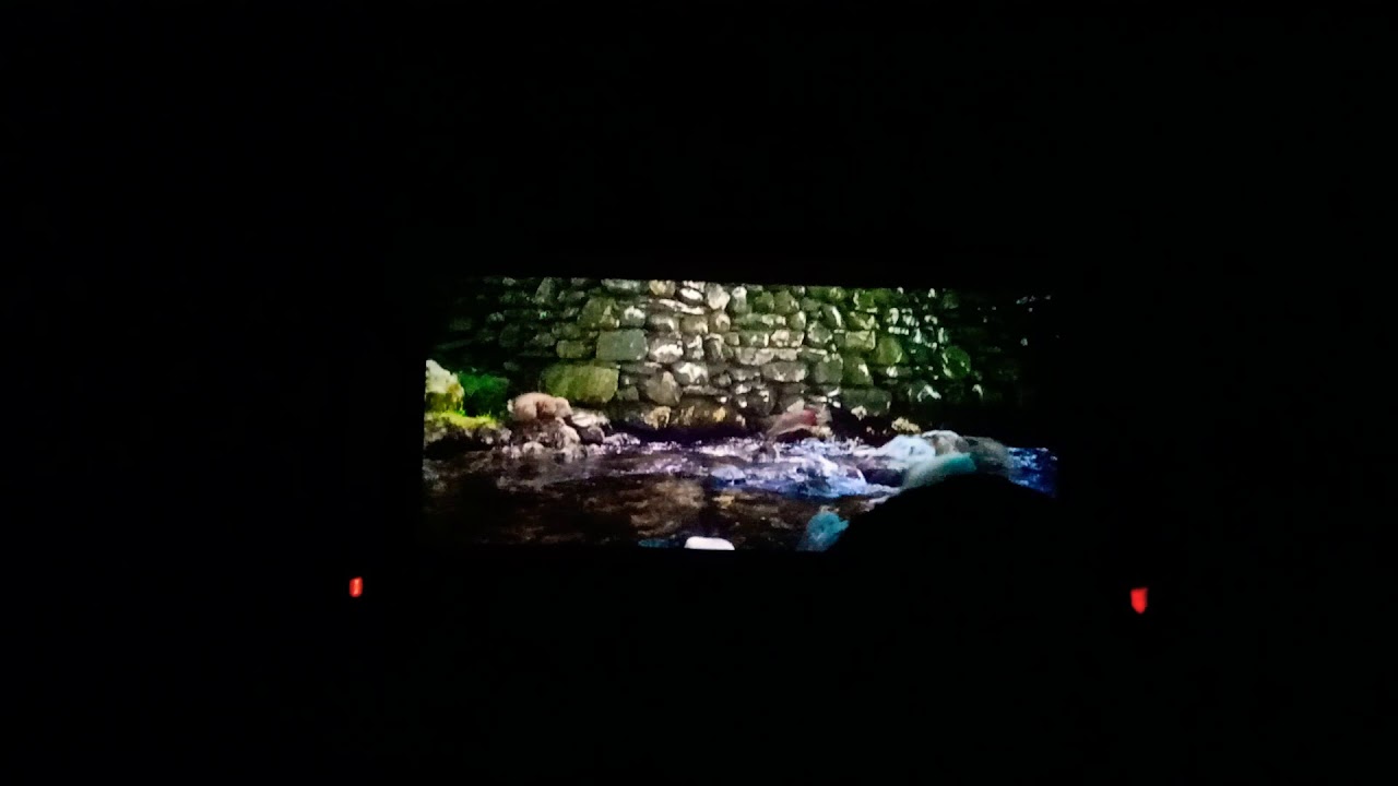 Peter Rabbit full movie 2018 - YouTube