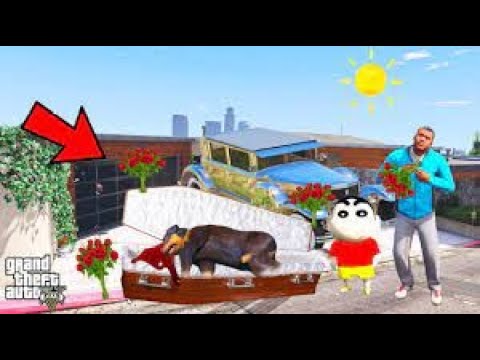 Chop Died But who Killed In GTA 5 | GTA 5 How Chop killed | Who Killed ...