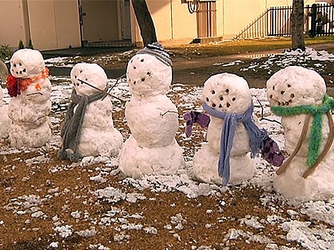 News Strike - Record Snowfall in Iwakuni