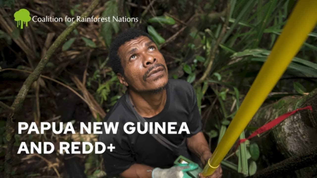 Video - Coalition for Rainforest Nations