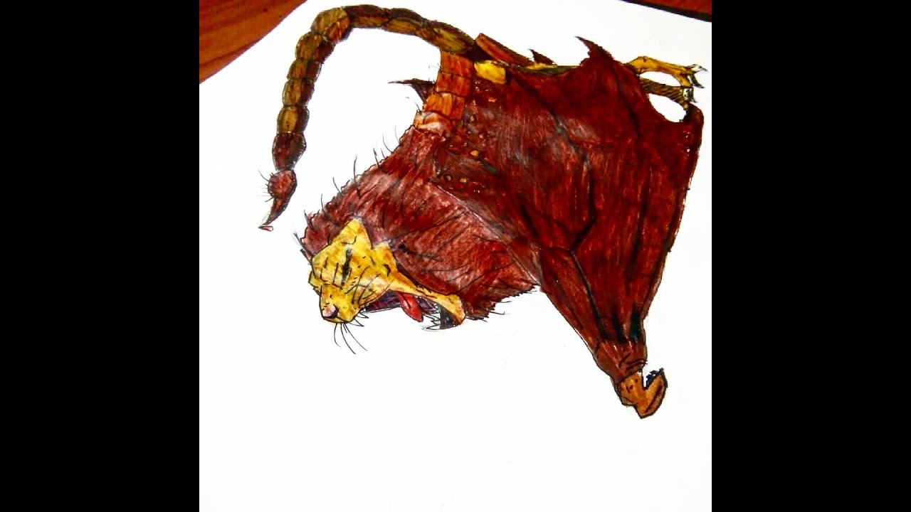 Drawing The Manticore - YouTube