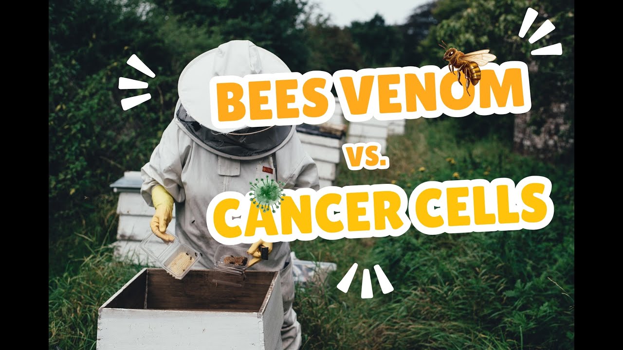 Bee Venom Vs Breast Cancer cells | Breakthrough Research Explained ...