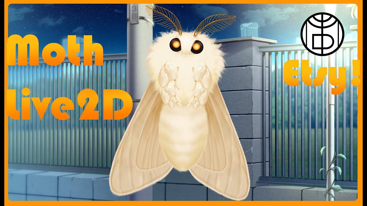 Moth Live2D Avatar - Available on Etsy! - YouTube